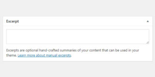 Adding custom excerpts to pages in WP | Behind The Scenes